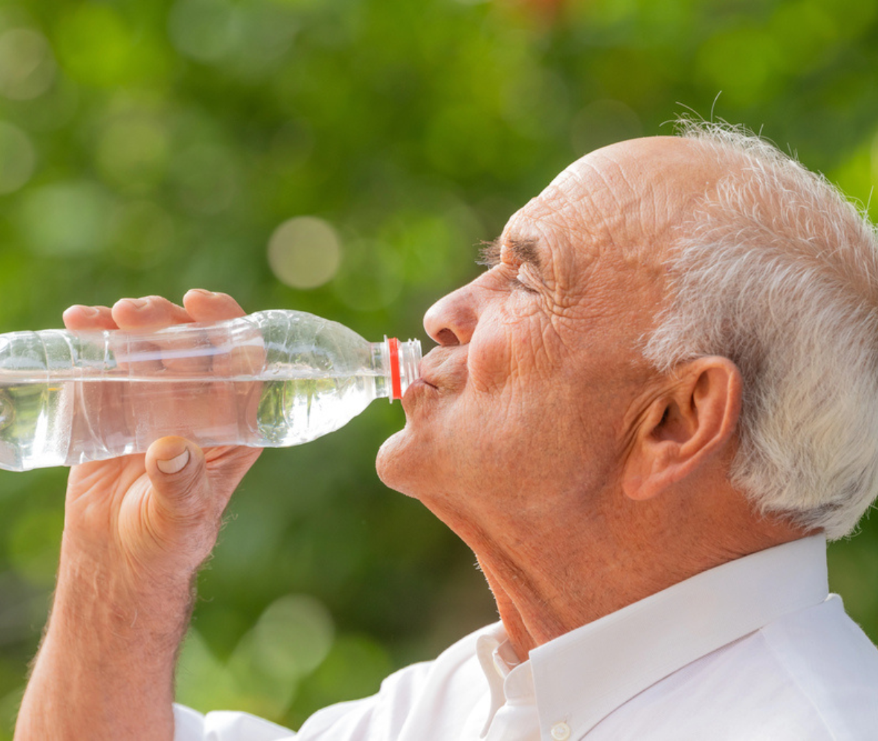 World Water Week: Staying Hydrated and Healthy in Senior Years - forever faithful home care